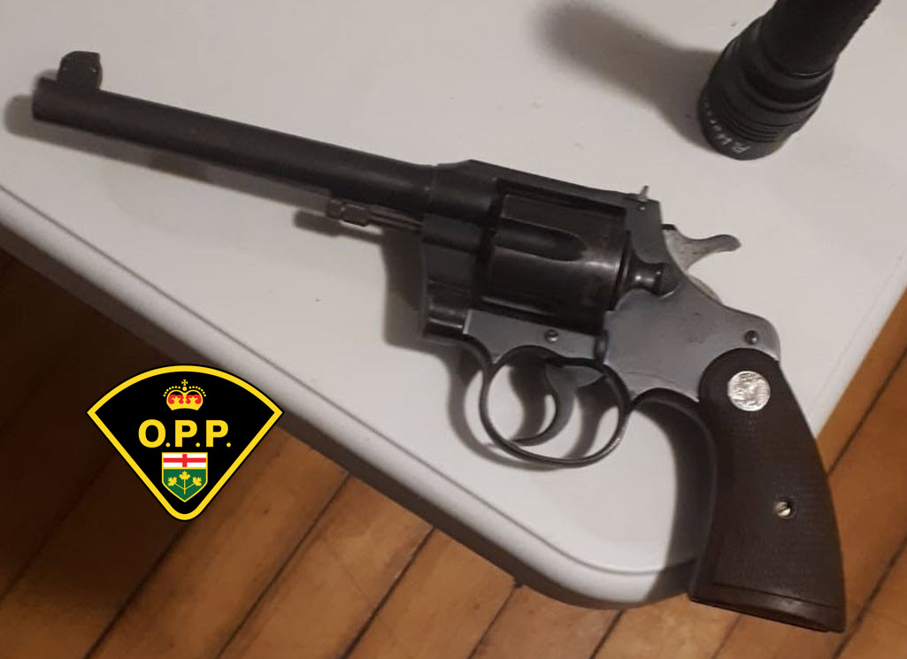 Lennox and Addington County OPP seize nearly 4000 cannabis plants ...